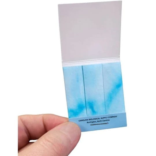 Ptc Papers | by Kaitlin Smith | Jul, 2024 | Medium