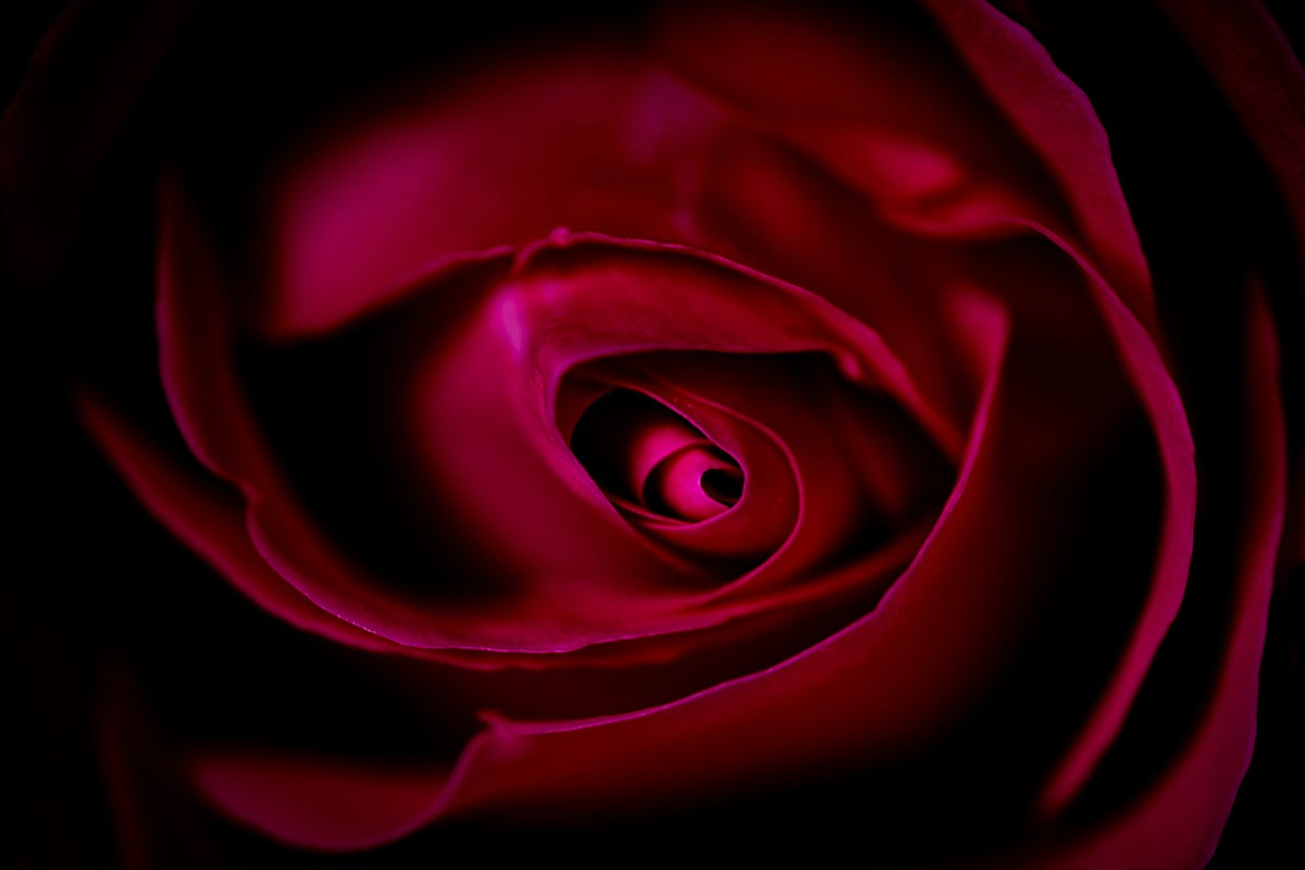 A Speck of Light, A Shard of Strength | by A.H. Mehr | Write Under the ...