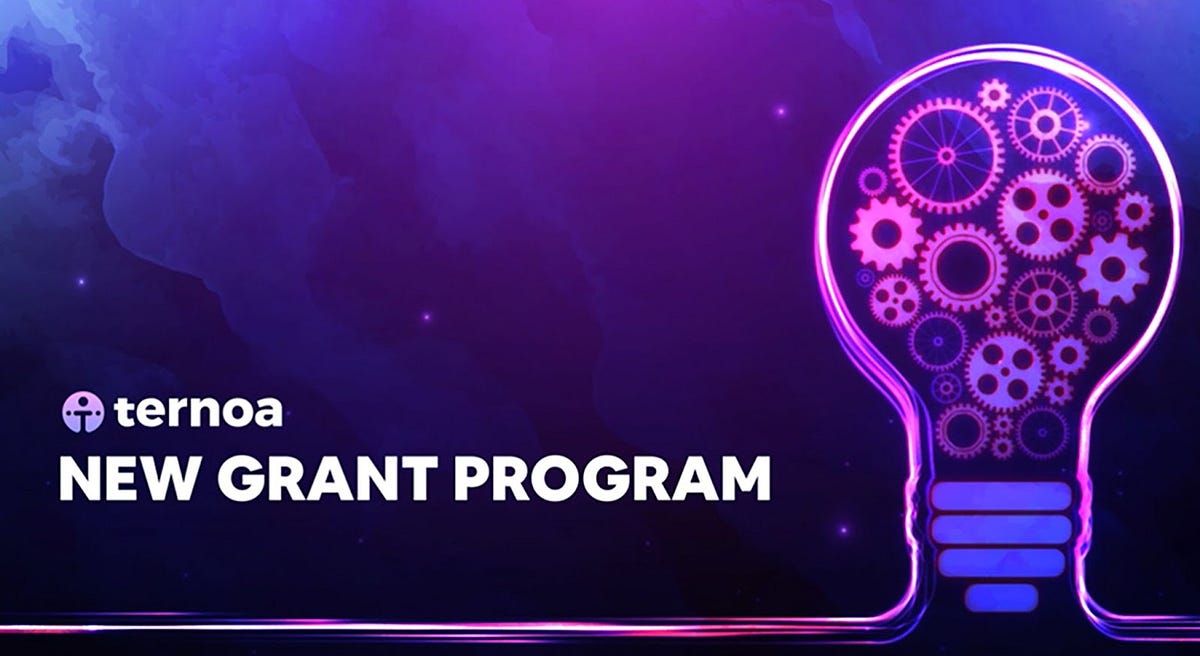 ernoa launches a Grant program for community members | Ternoa