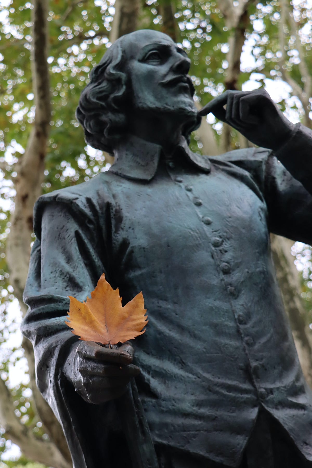 Shakespeare’s Sonnets as Nature Poetry | by CHJ 3 | Medium