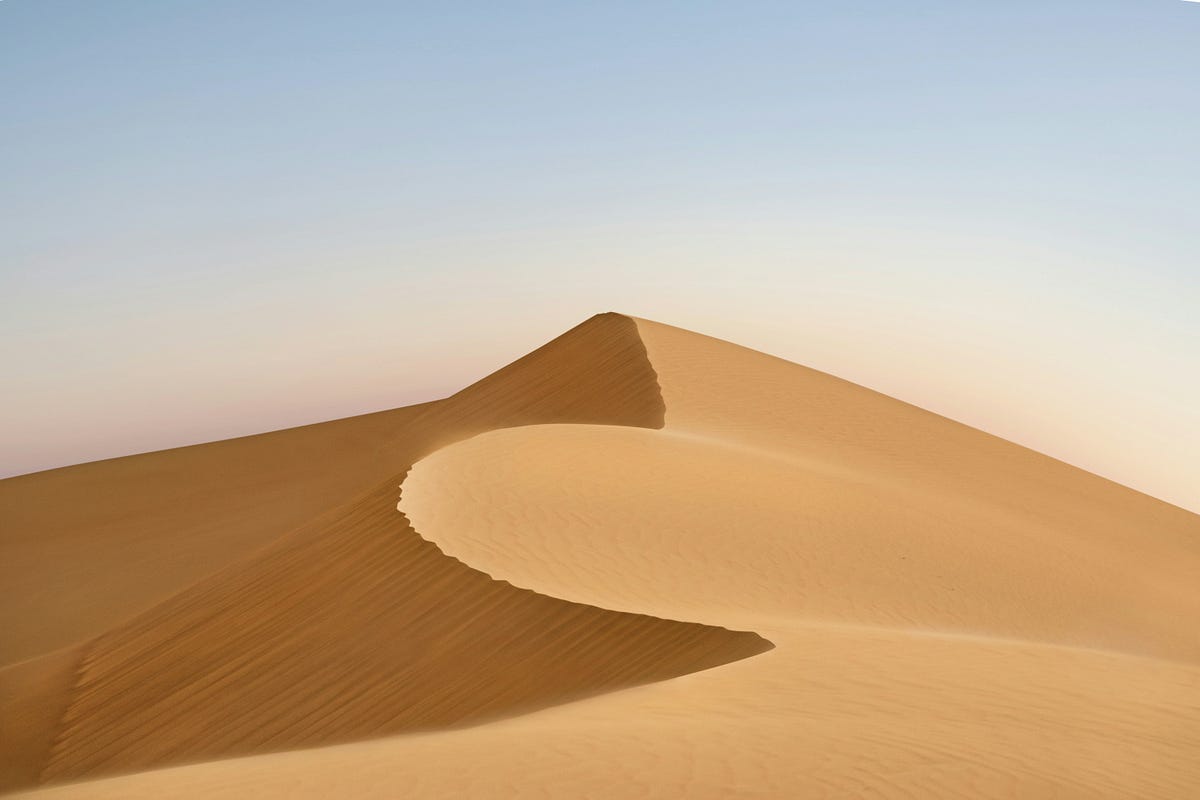 Book Review: Dune by Frank Herbert | by Chris Murphy | Medium