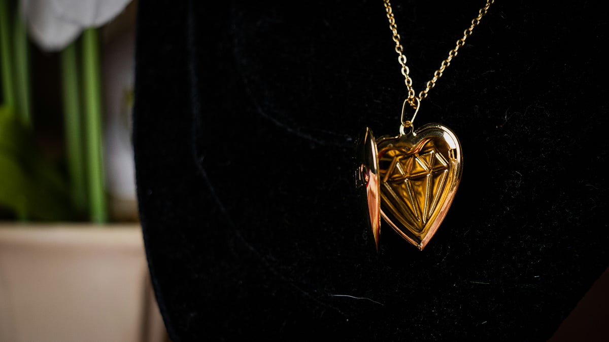 Lost Locket, Found Legacy. Eleanor’s search transforms a family… | by ...