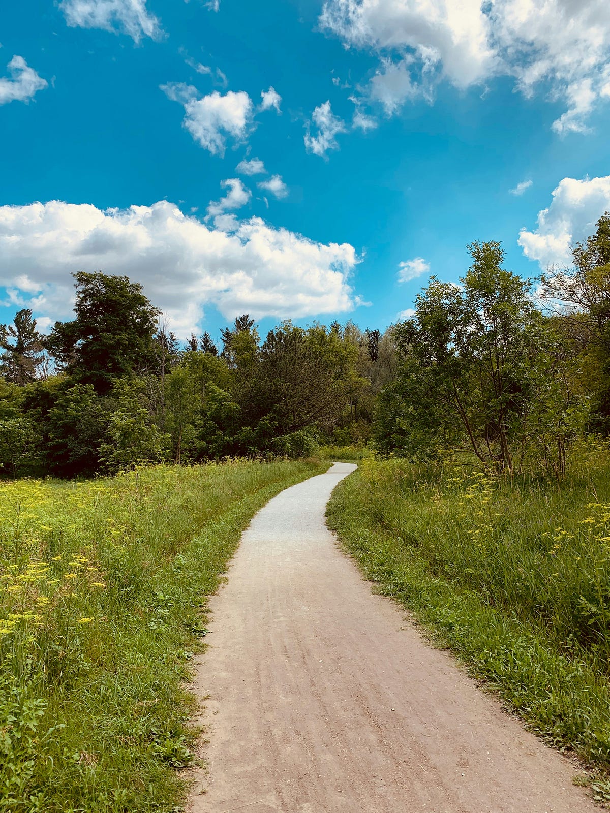 The Shortcut to Becoming a Happy Non-Drinker: How Finding Experts ...