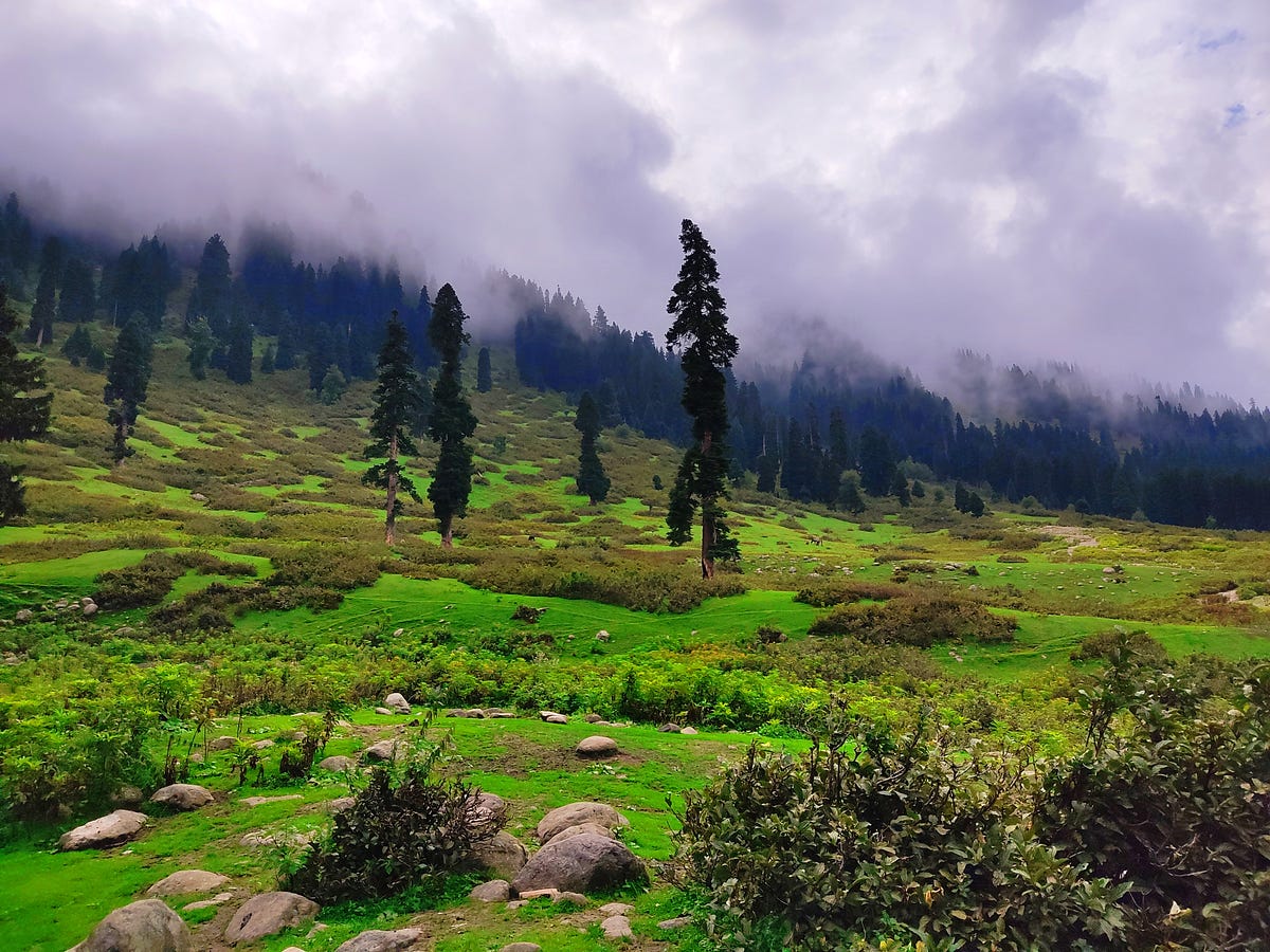 Doodhpathri: A Serene Paradise Hidden in the Mountains of Kashmir | by ...