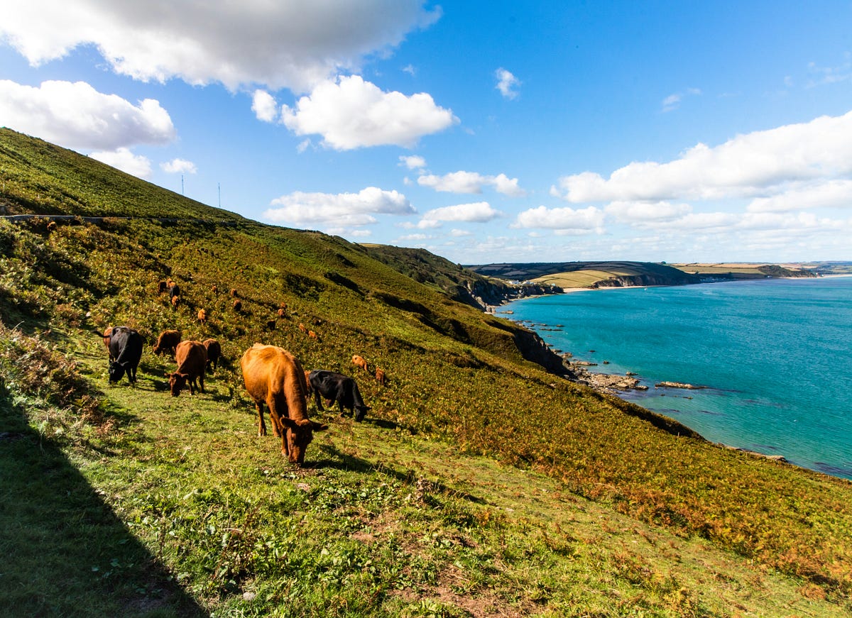 A Visitor’s Guide to Devon. Devon is located in the West Country of ...