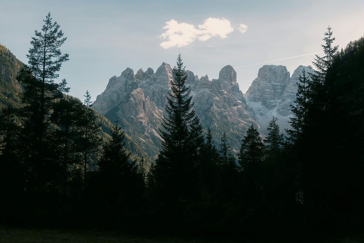 Embracing My True Self : The Power of Self-Care and Authentic Growth | by Anvi Arya | Good Vibes ...