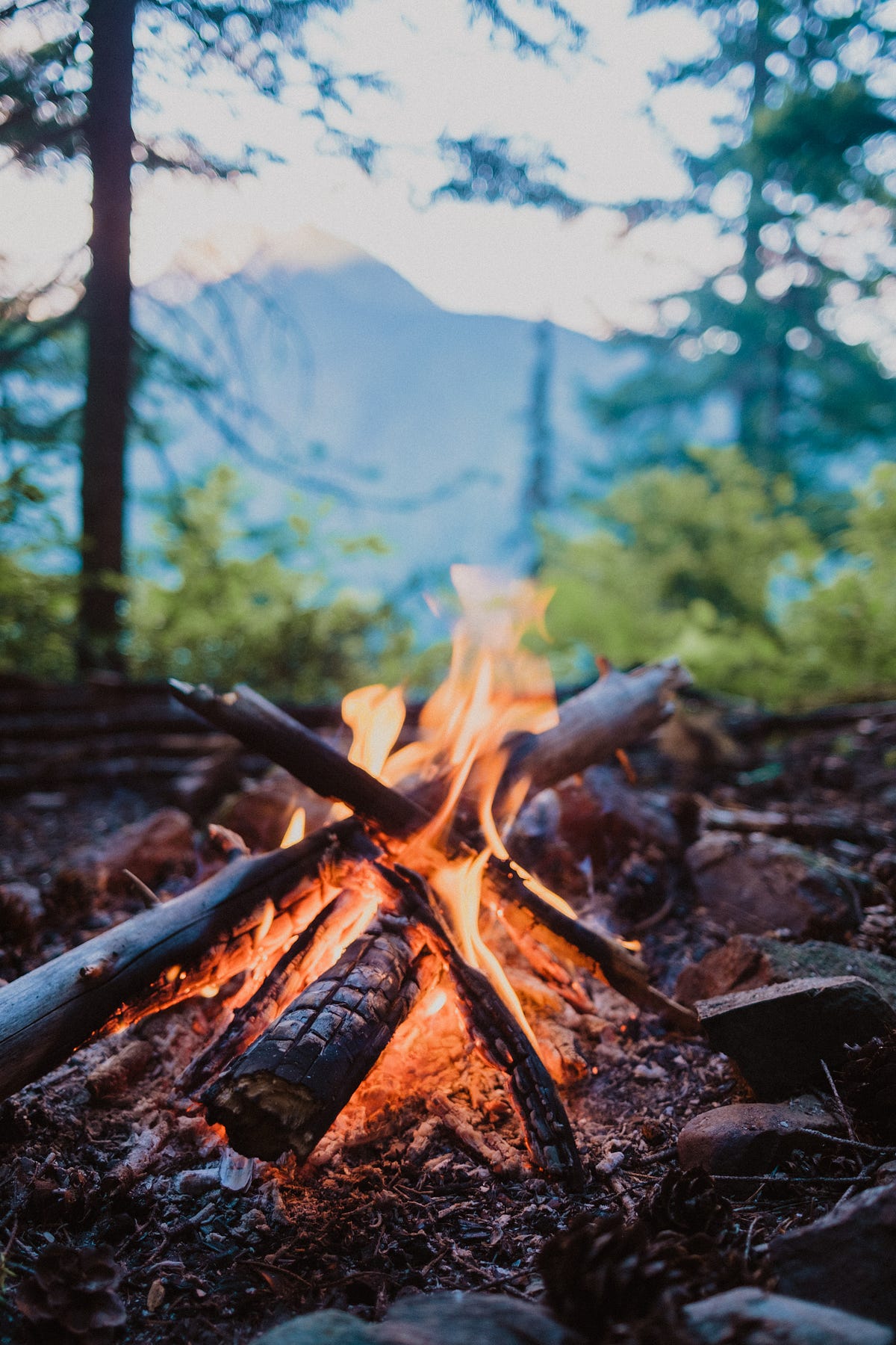 The Era of Burning Things is Over | by MartinEdic | Medium