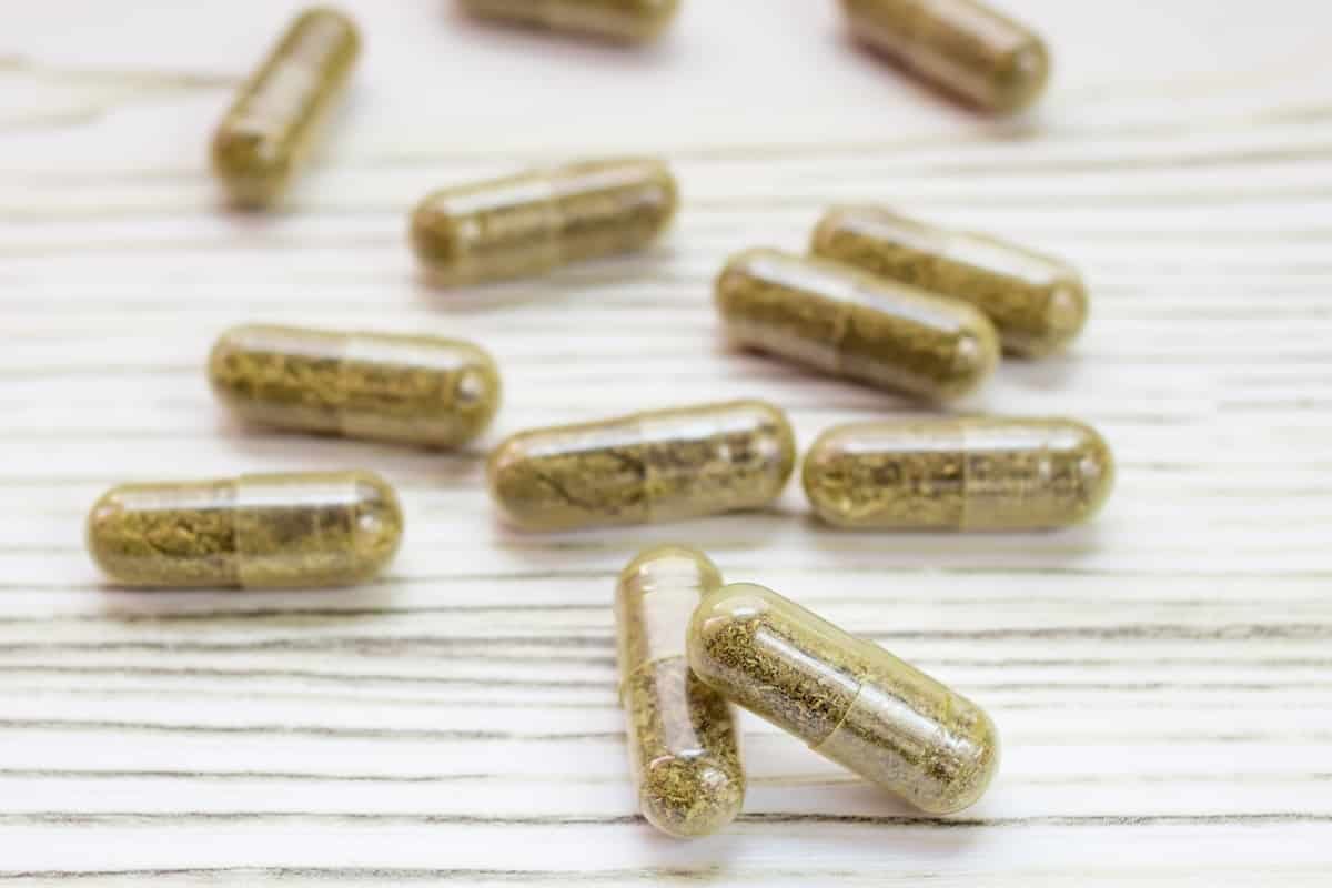 Cogumelos Mágicos e Seu Uso em Microdose: Explorando os Potenciais Benefícios | by Cogugoku | Medium