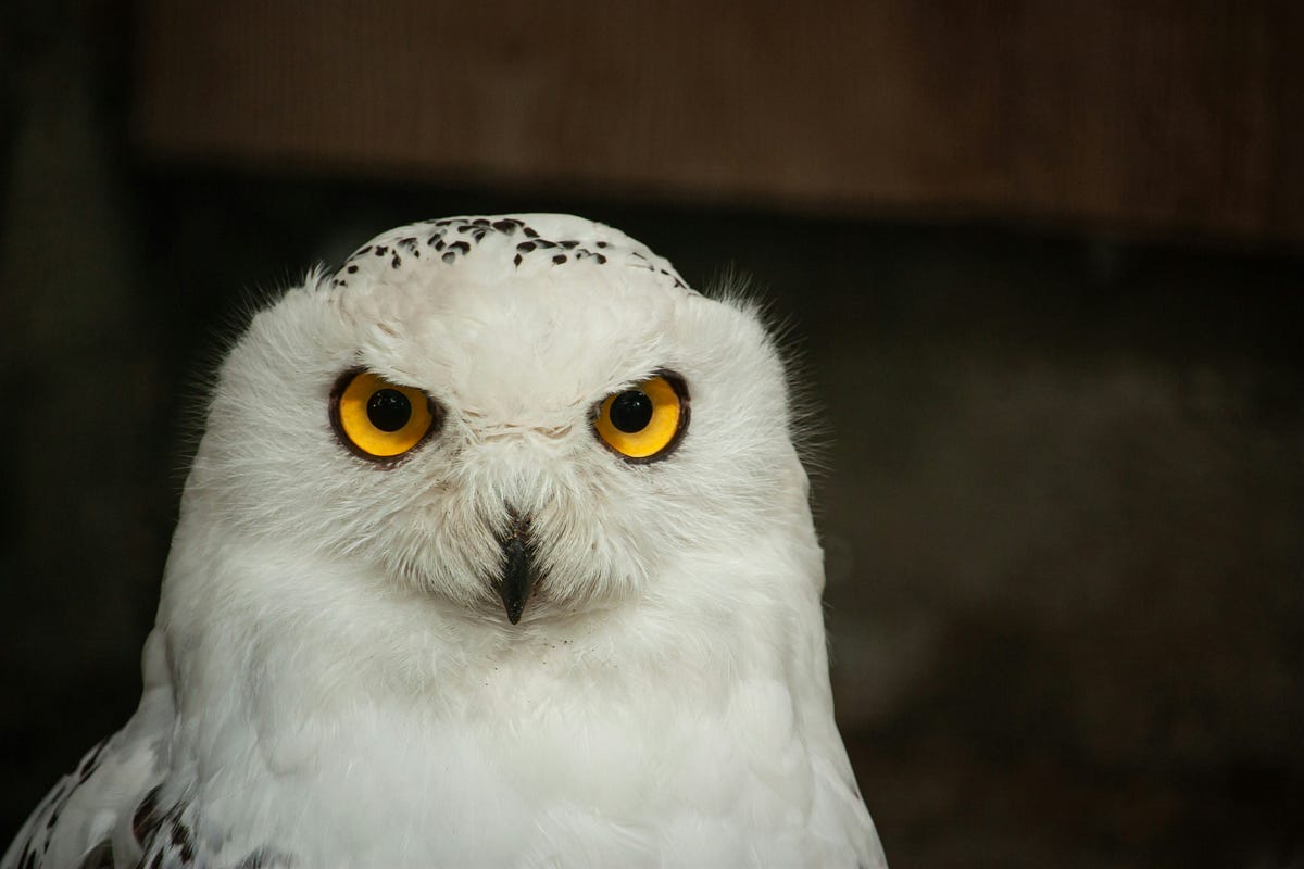 How to Avoid Turning Into a Grumpy Old Person: 8 Warning Signs | by ...