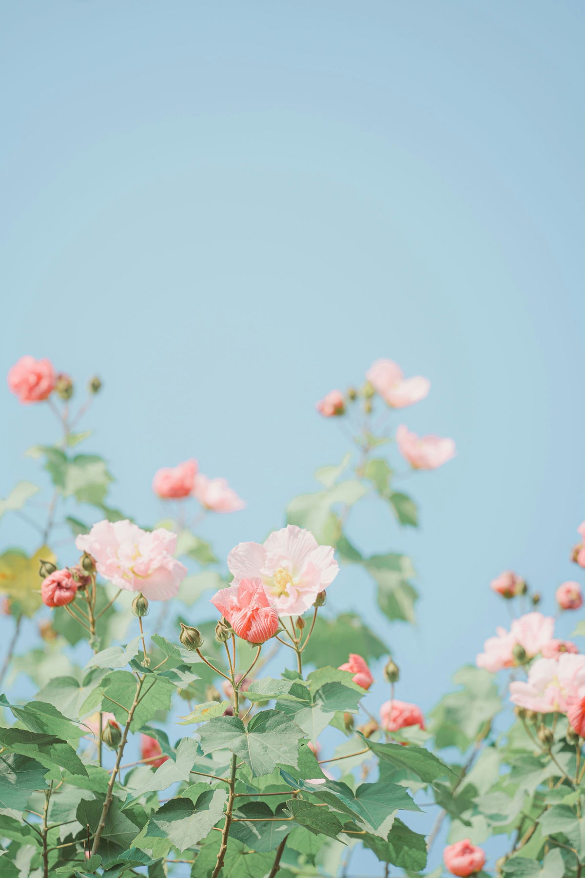 The existence of God. God is One | by Prabhat Singhal | Dec, 2024 | Medium