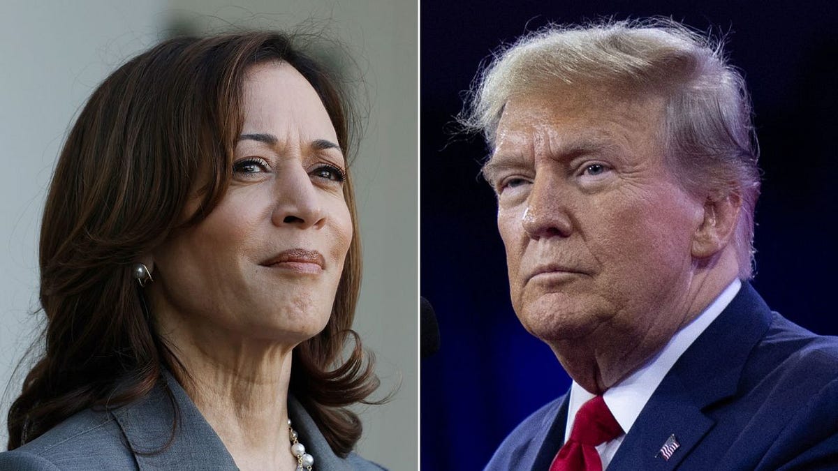 Vice President Kamala Harris, President Elect Donald Trump, Glee, Anger ...