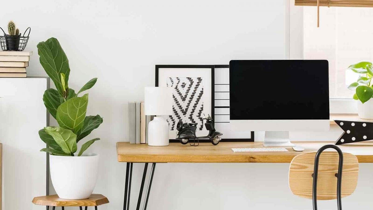 How to work from Home like a boss | by Cassandra Klassen | Medium