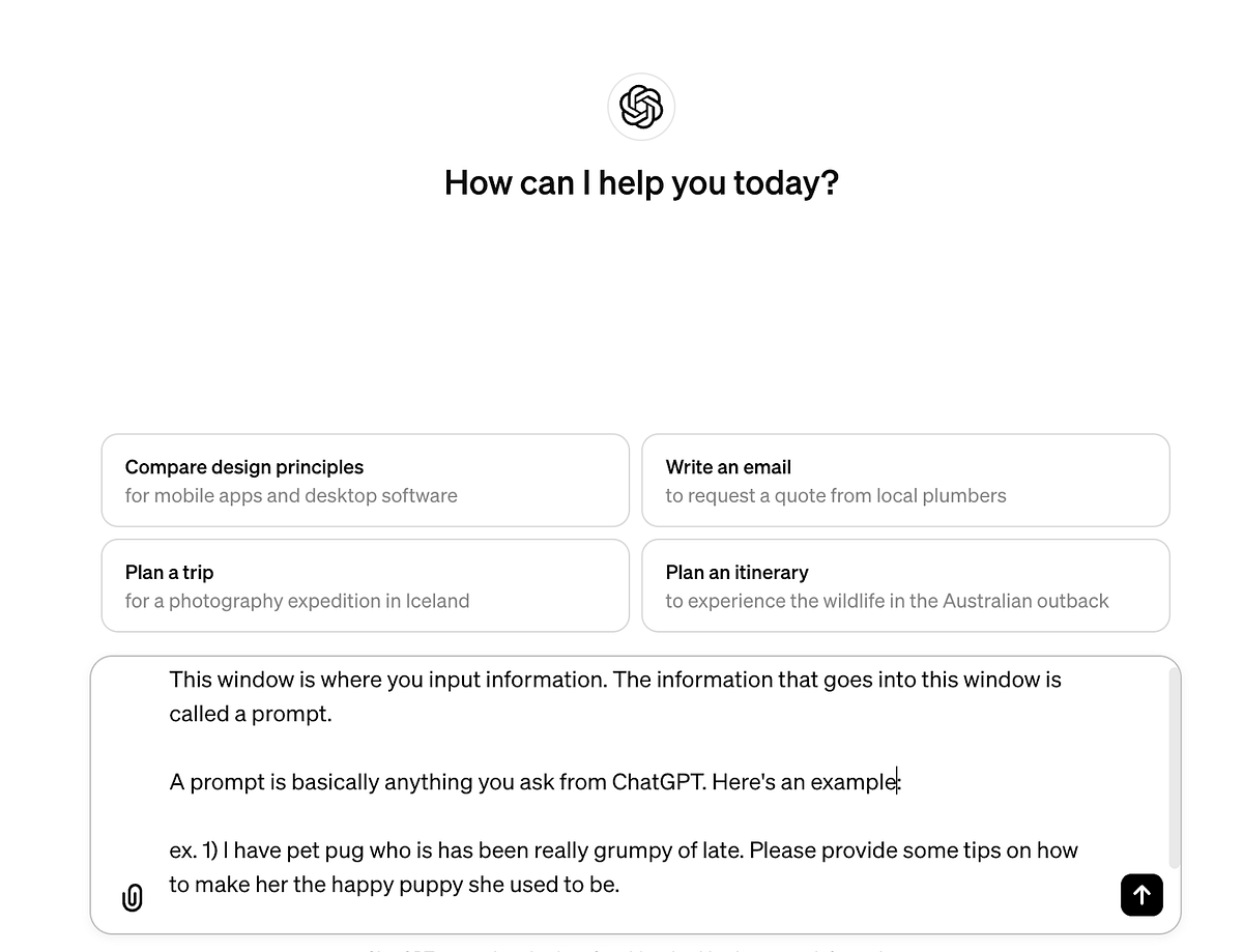 ChatGPT for Beginners: A Step-by-Step Guide to Prompting | by Chris Lele - @ElevateAICoaching ...