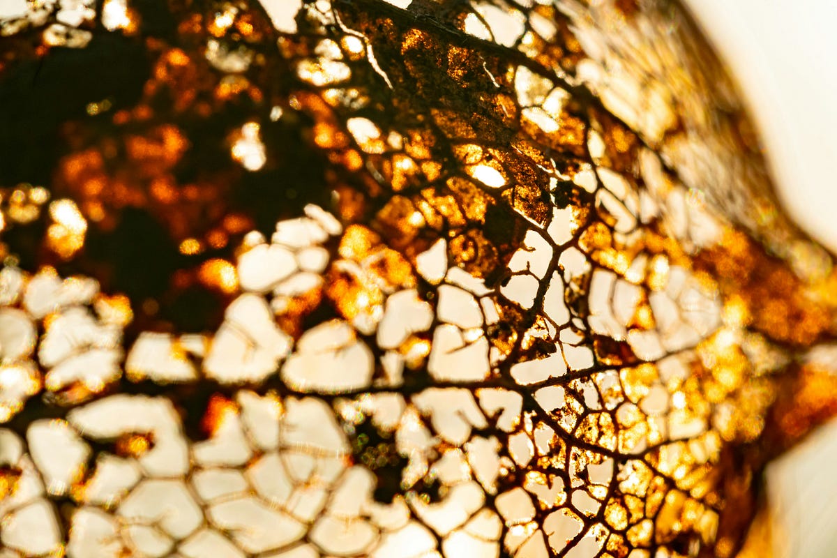 Musonius Rufus Fragments.. A dialectical interpretation. | by Jason ...