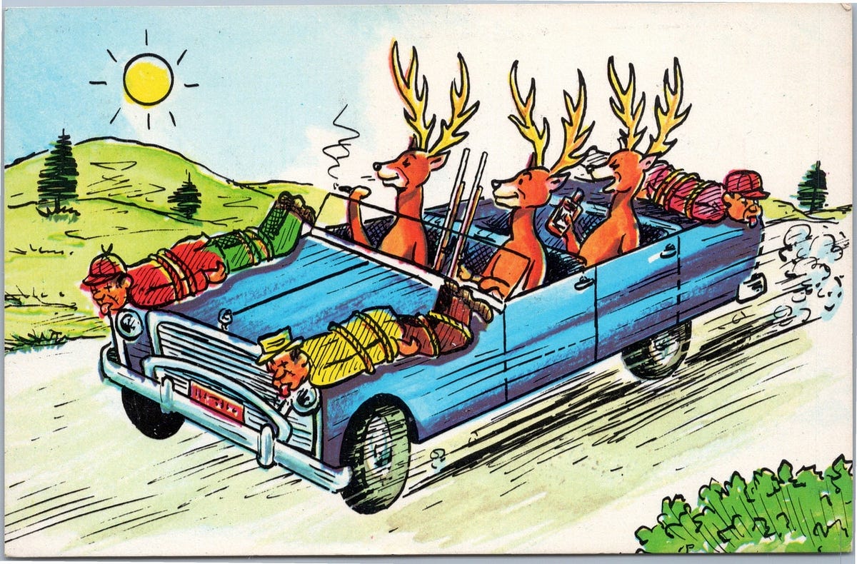 Humans in the Zoo: Tales of a Role Reversal | by Tahir Wahab | Medium