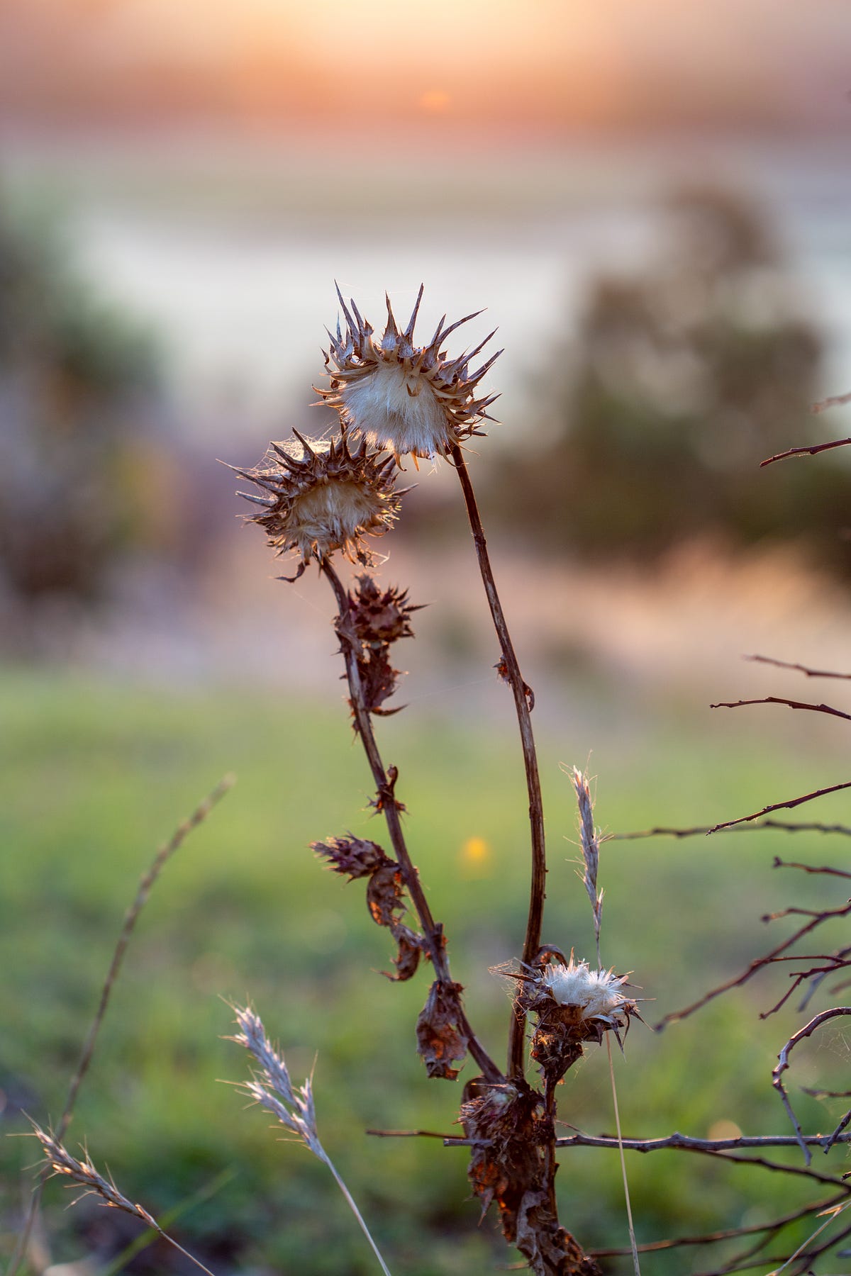 Just One Breath Away. Daniel bent low, taking hold of the… | by Michael Huff — Writer of Stuff ...