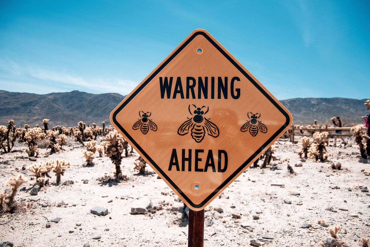 Pitfalls in OpenIFS code or how unmaintainable code is written | by ...