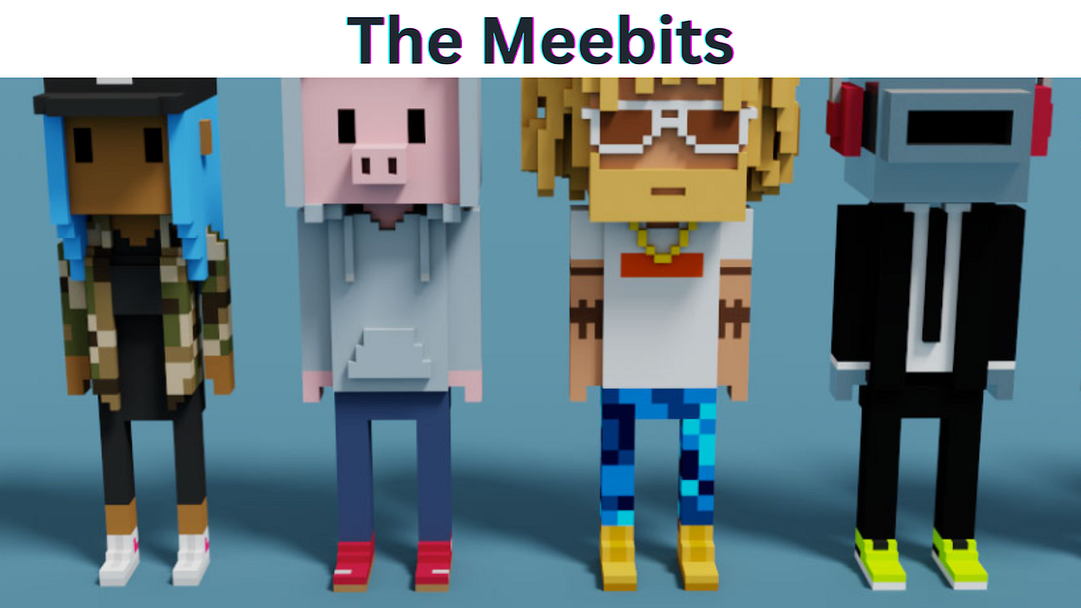 The Ultimate Guide to Meebits Airdrop: Everything You Need to Know | by Ether Wave | Mar, 2024 ...