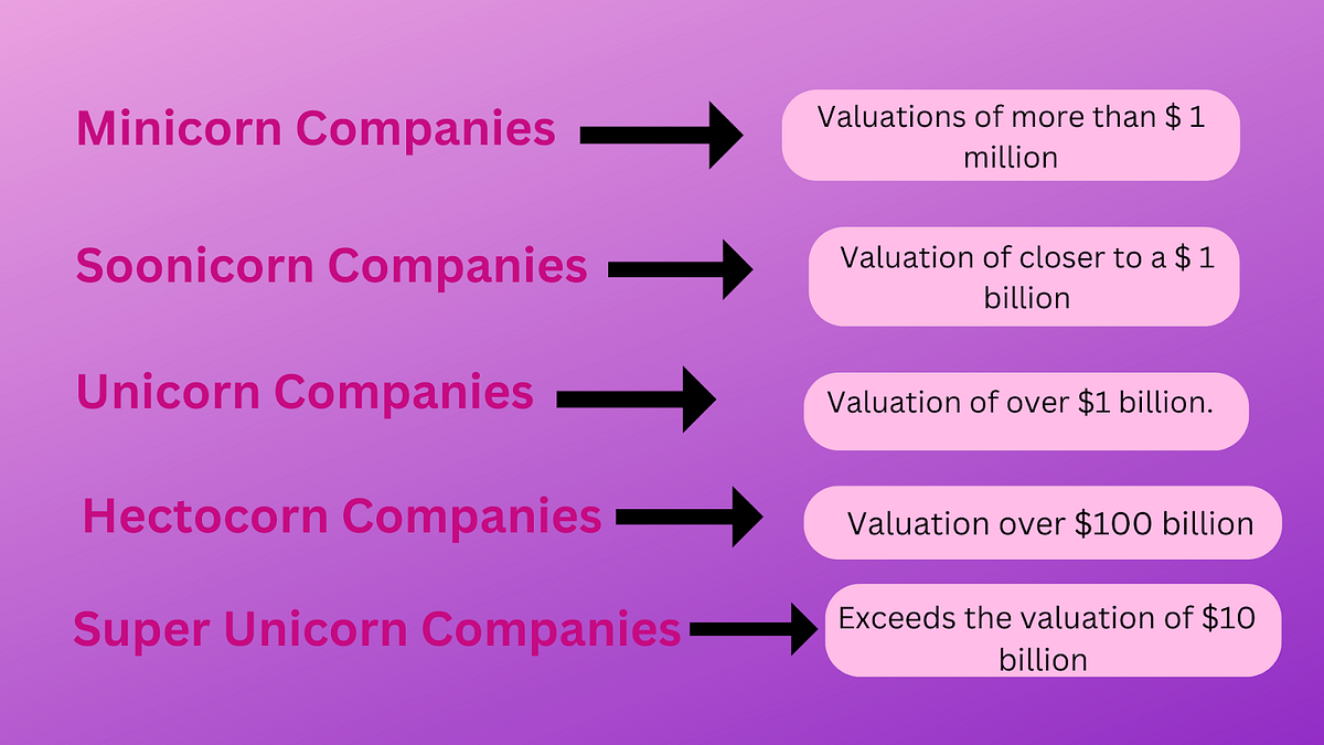 Brief Connotation: Minicorn, Soonicorn, Unicorn, Super Unicorn, and Hectocorn Companies | by ...