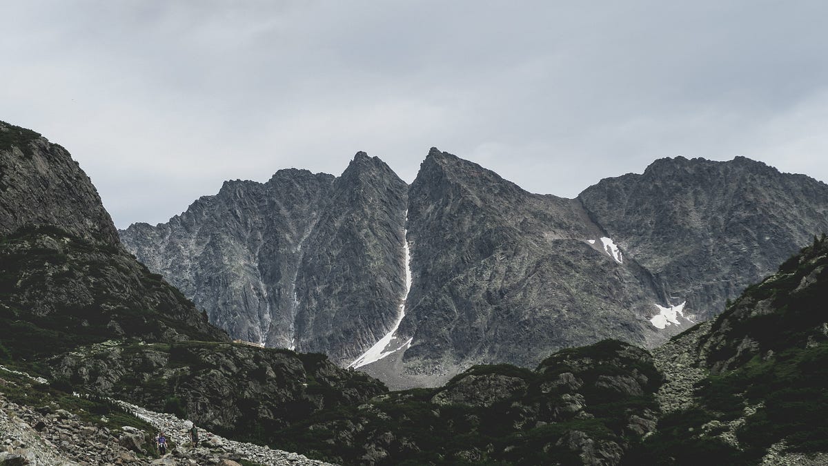 Discovering Fulfillment Through Gratitude | by DILIP PATIL | Medium