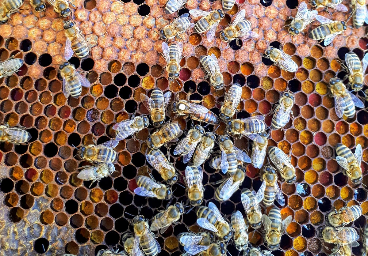 How To Merge Bigquery Tables With Nested Fields For Incremental Uploading By Alex Feldman Medium