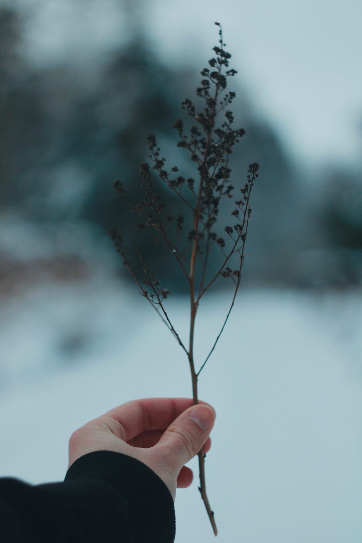 Two Gestures of the Same Hand. Two gestures of the same hand, One of ...