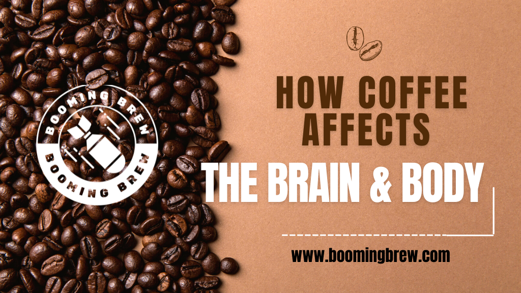 How Coffee Affects the Brain & Body | by Booming Brew | Medium