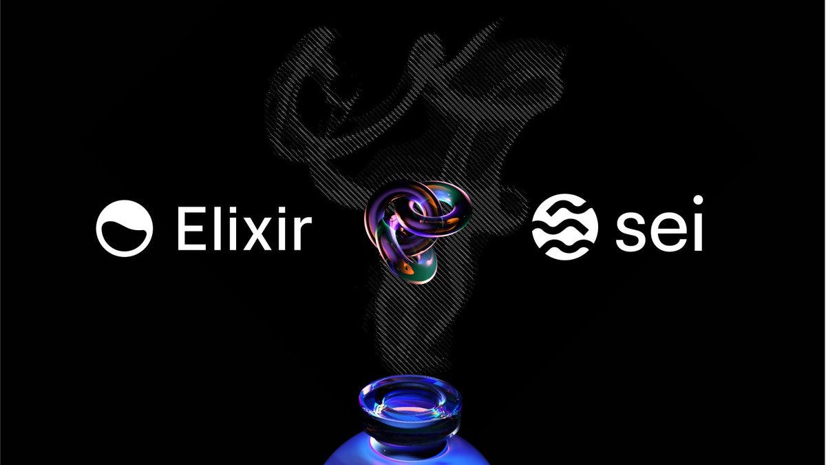 Интеграция Elixir Protocol в Seo Network | by Runic | Medium