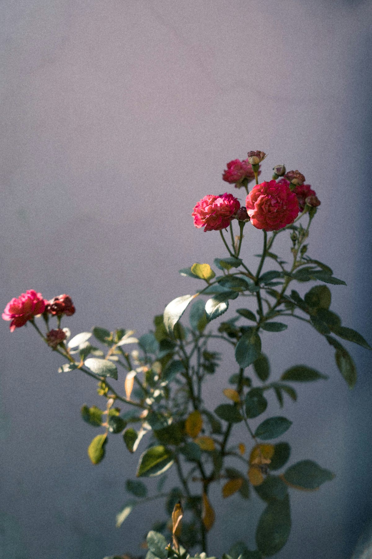 How to Know Truly, Deeply You’re in Love | by AlancientMas | Mar, 2025 ...