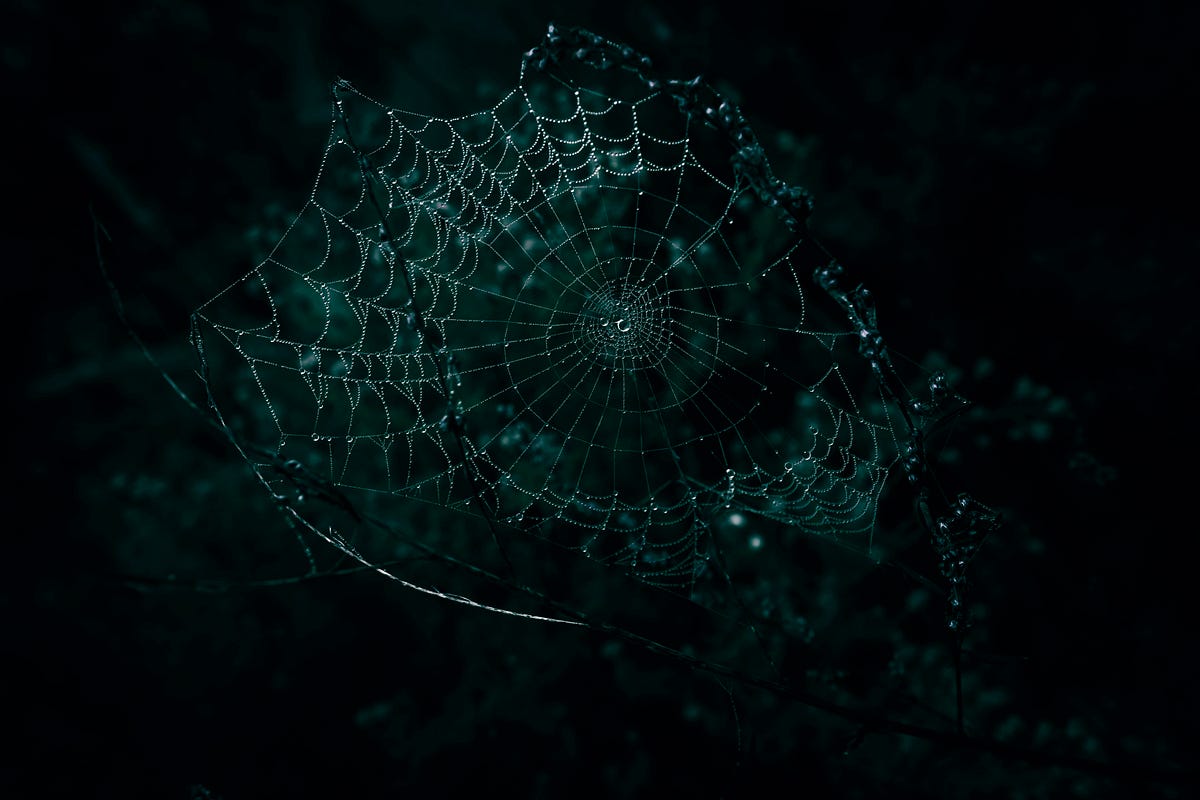 The “Good Addict” Trap: Why Being “Too Good” At Recovery Can Be The ...