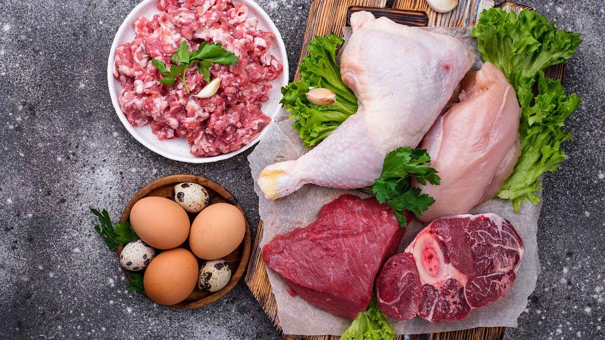 Carnivore Diet: What’s In, What’s Out? | by Aysha Khan | ILLUMINATION | Medium
