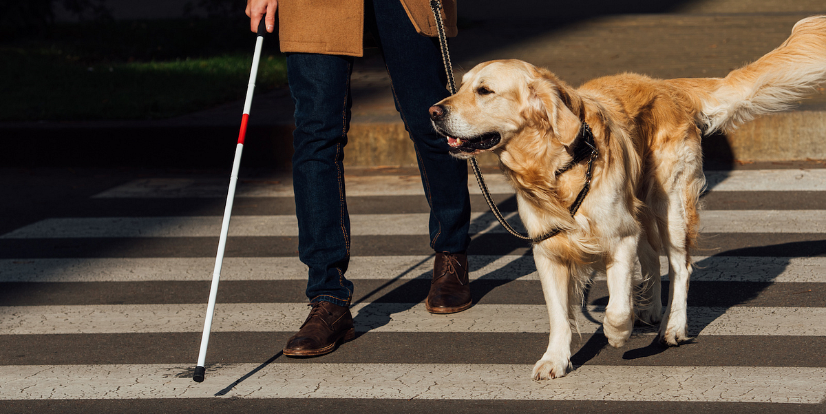 Using Object Detection and NLP to Help the Blind See | by Yash ...