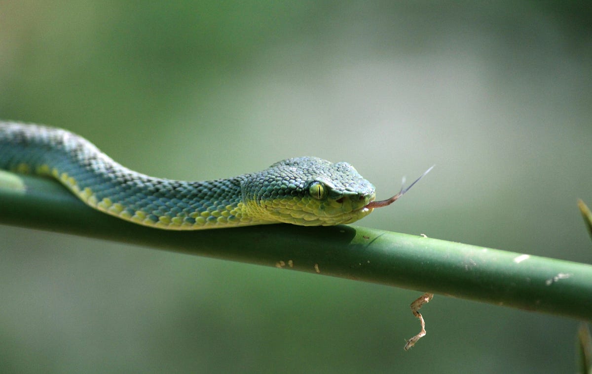 Mamba Explained: Linear-Time Sequence Modeling with Selective State ...