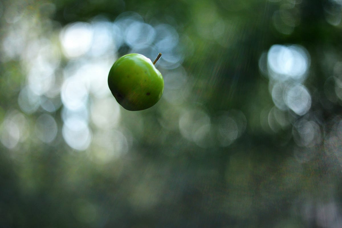 Coherent Vacuum Gravity Theory (CVGT) | A Predictive Framework for Anti ...