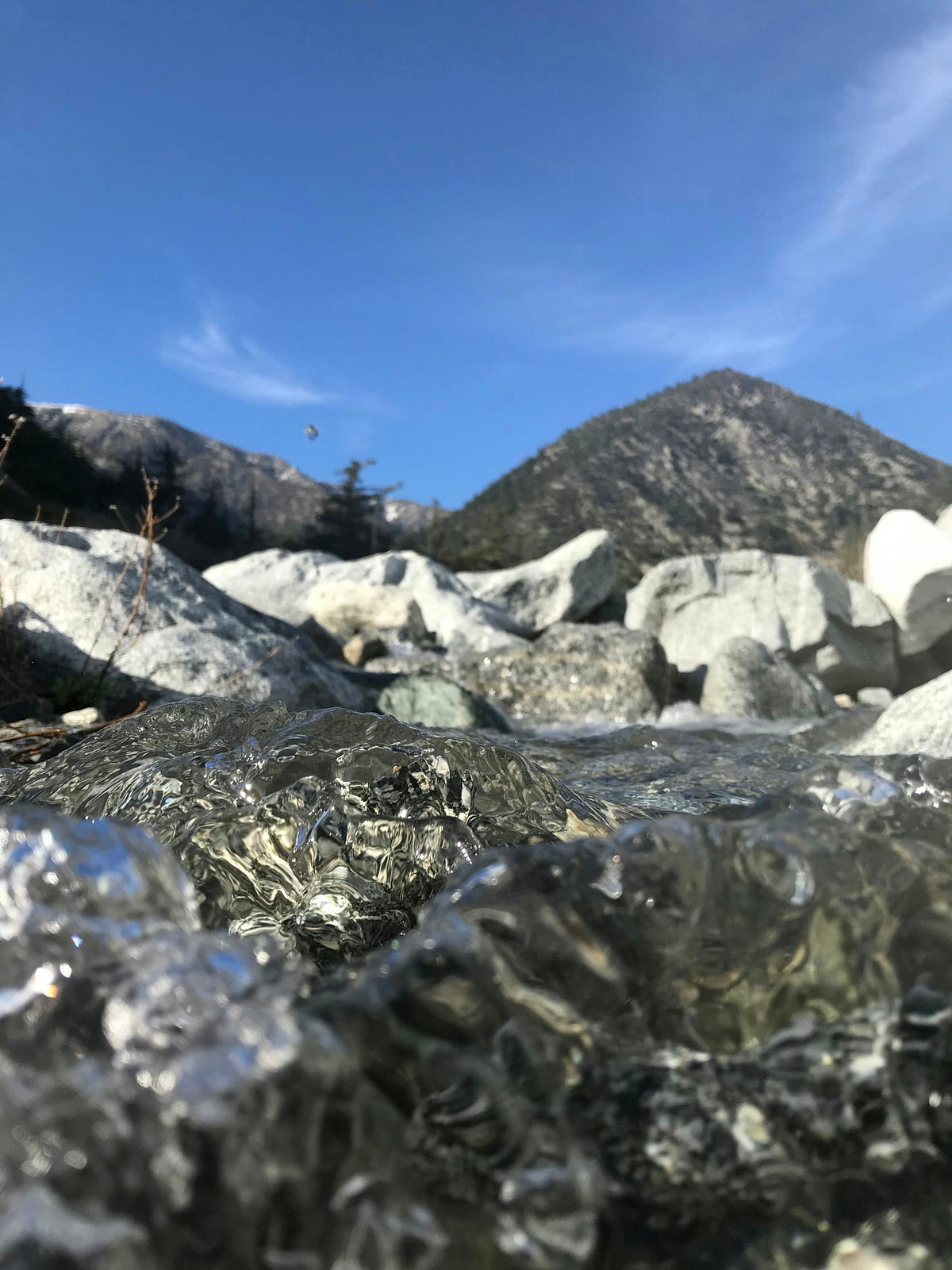 American Narcissism LXXIII: ICE Meets Grey Rock & We The People. | by E ...