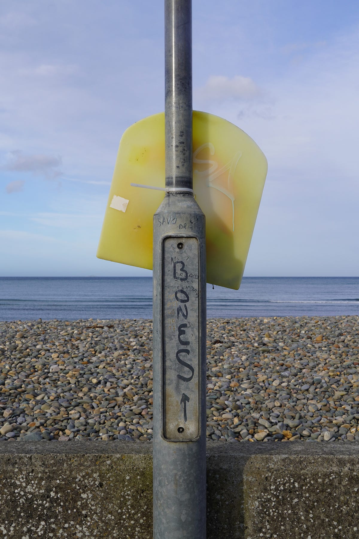 Fibrodysplasia Ossificans Progressiva (FOP): One Of The Rarest Diseases ...