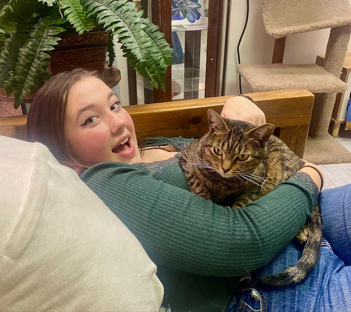 Scruffy’s Cafe does more than shelter cats. It fosters community. | by Macy Roberts | Dec, 2023 ...