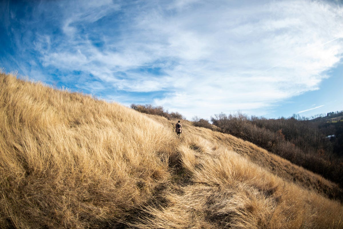 Simpleton. A Poem | by Jonathan Greene | Loose Words | Medium