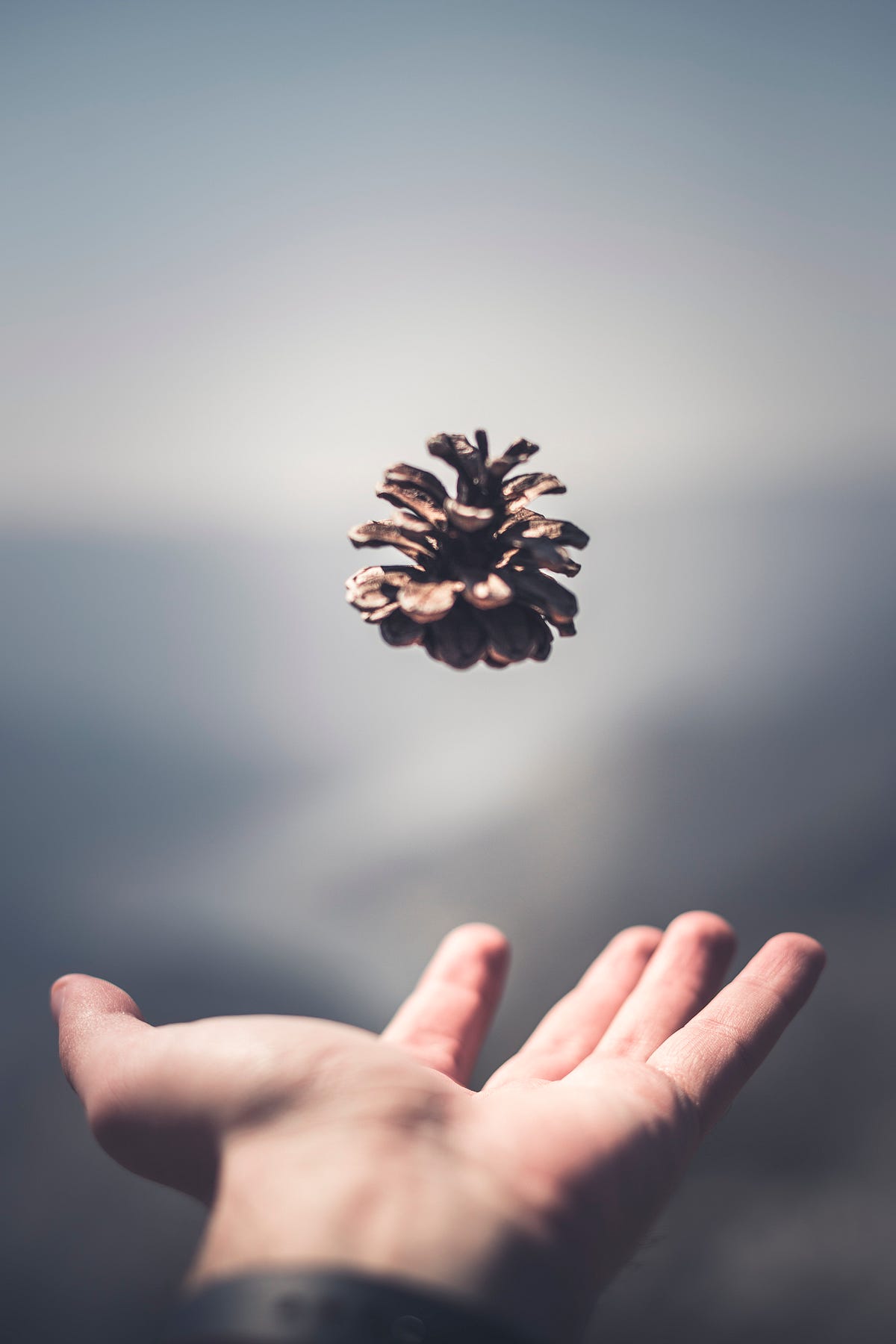 Build A Question Answering App Using Pinecone And Python Better 1749