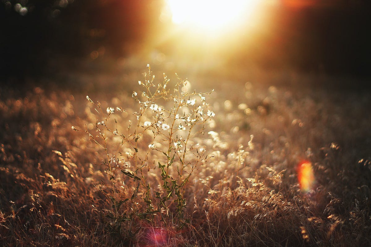Your Light. Way and sunrise | by Amy Christie | Knowing Muse | Medium