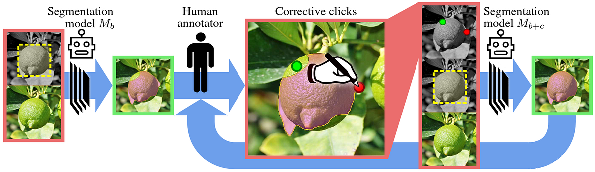 Interactive Segmentation. Interactive segmentation algorithms… | by Evgenii Munin | Level Up Coding