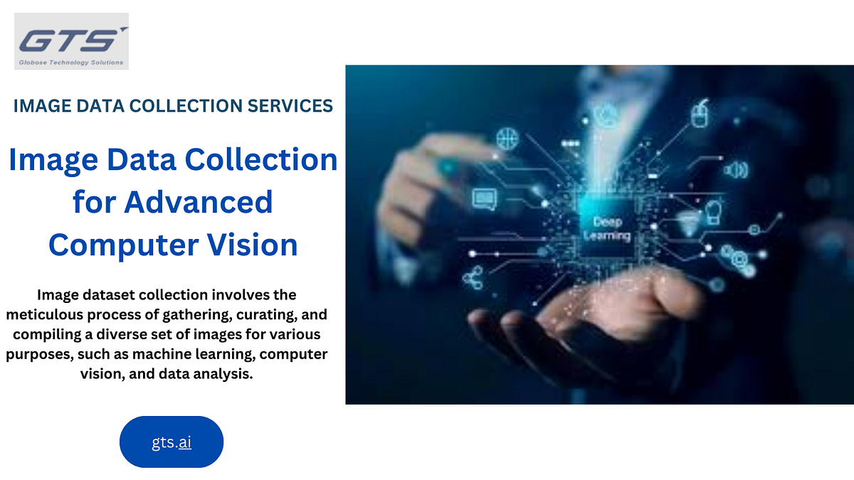 The Importance of Image Datasets in AI and Machine Learning | by ...