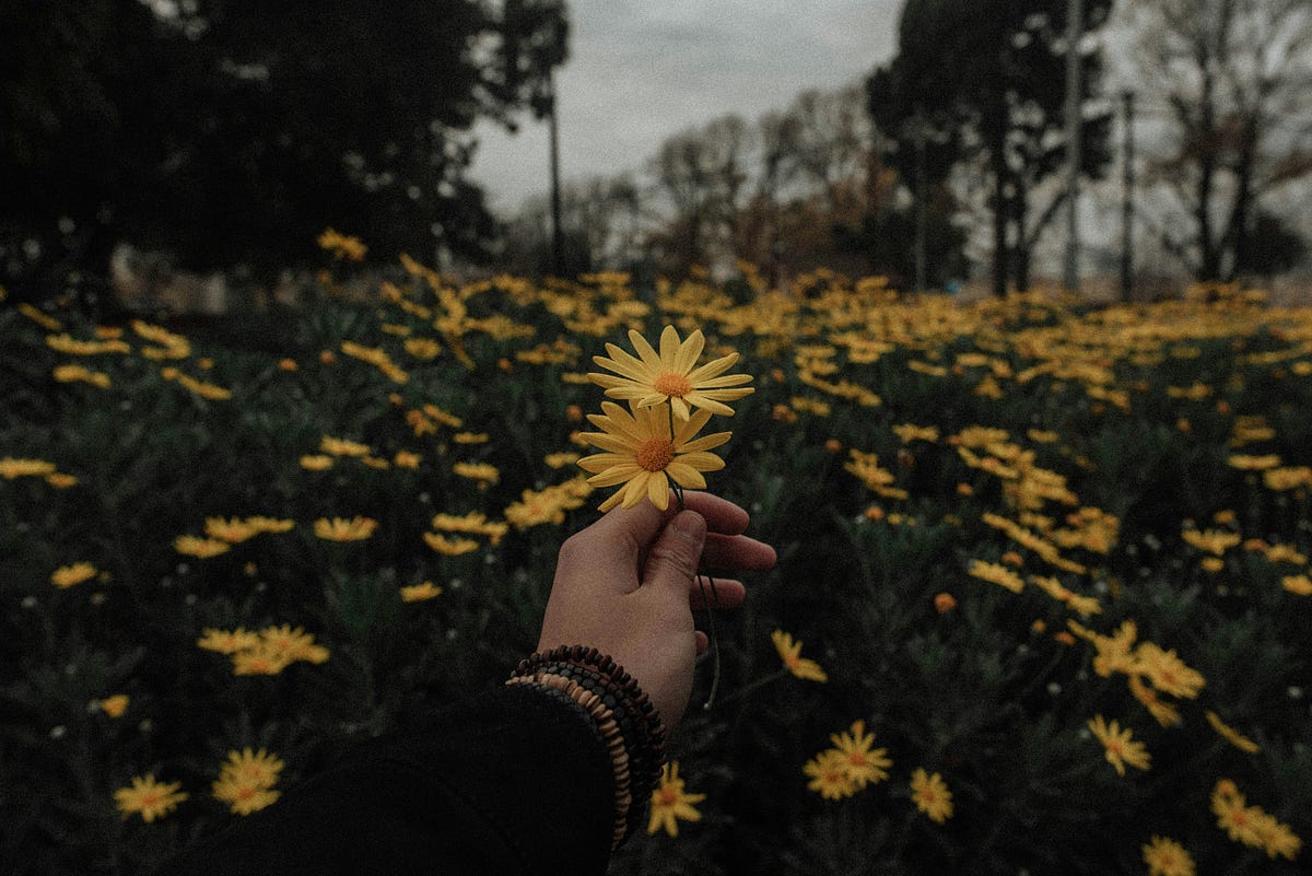 love shouldn’t feel like this. Have you ever loved someone so deeply ...