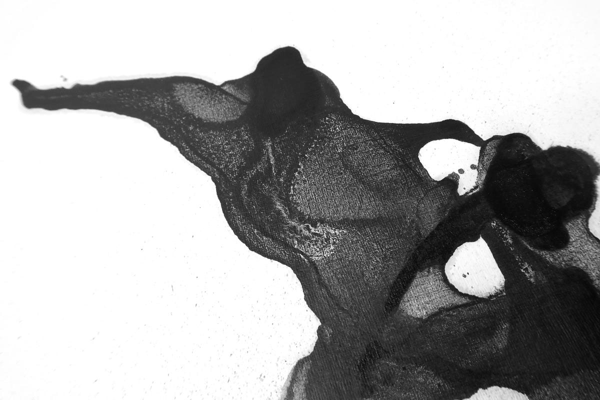 It’s All About Size and Shape. And how they fit together | by Jill Eng ...