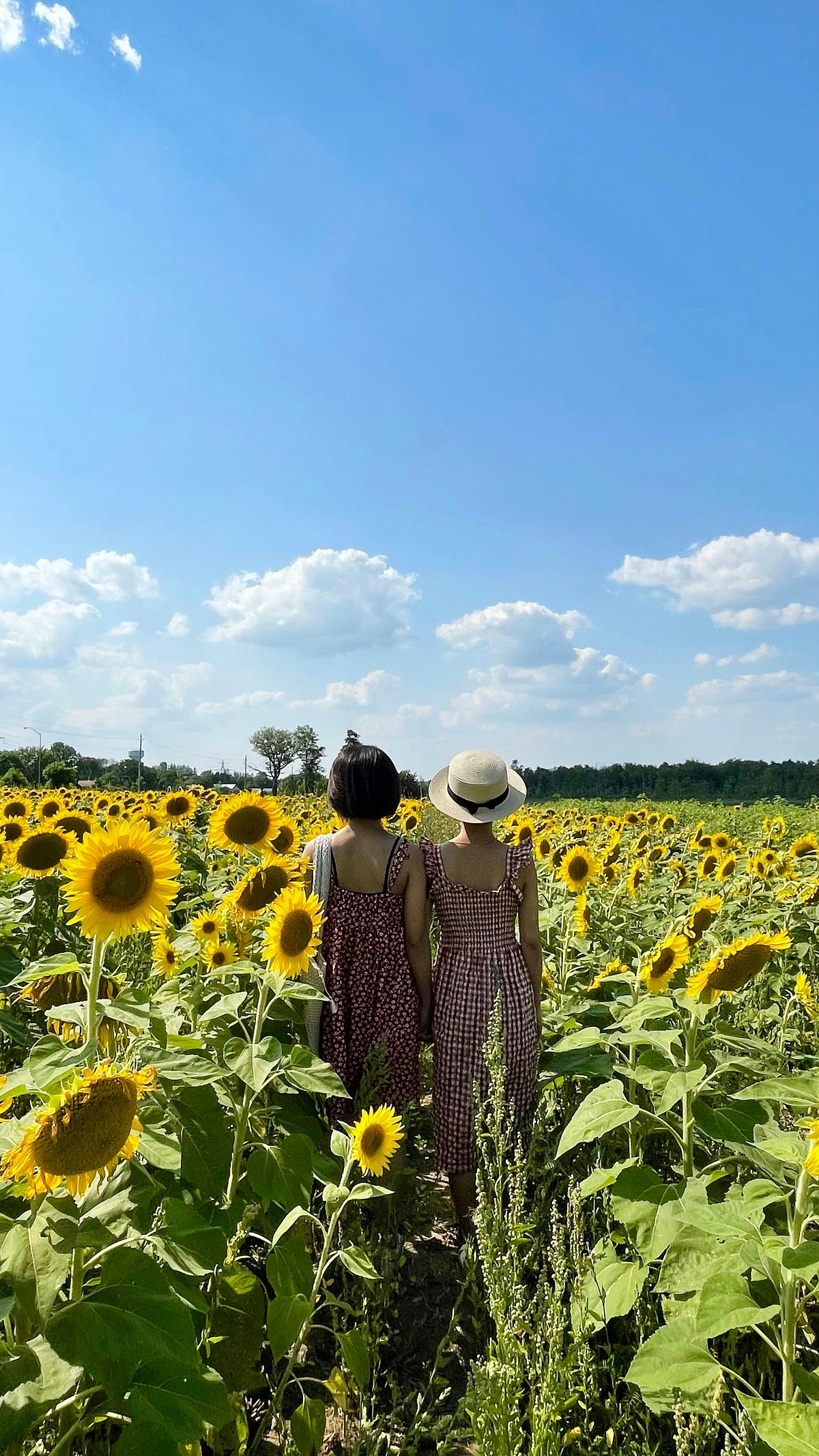 Five Years After My Worst Heartbreak, I Wrote A Letter To My Younger Self | by Julia_Elsie | The ...