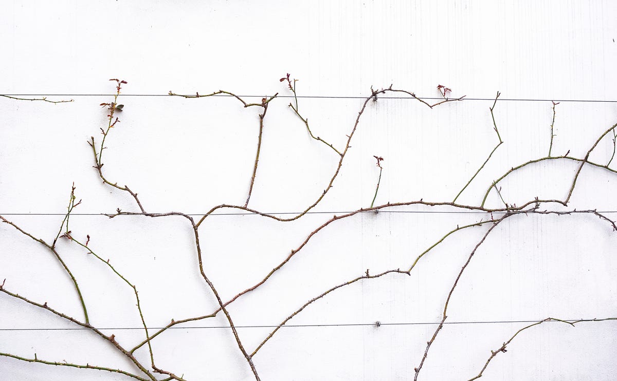 Python and Bokeh: Part II. The beginner’s guide to creating… | by Gleb ...