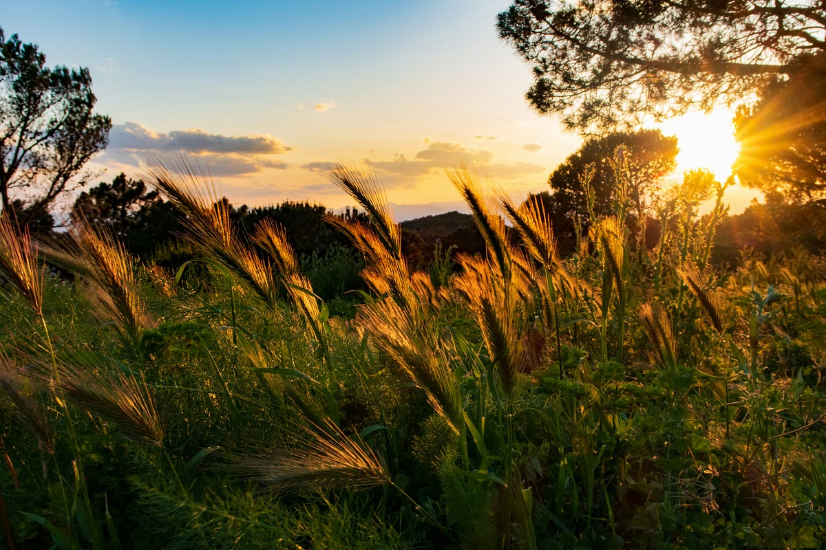 How Spirituality Should Be Filling the Void Left by Faith | by Araci ...