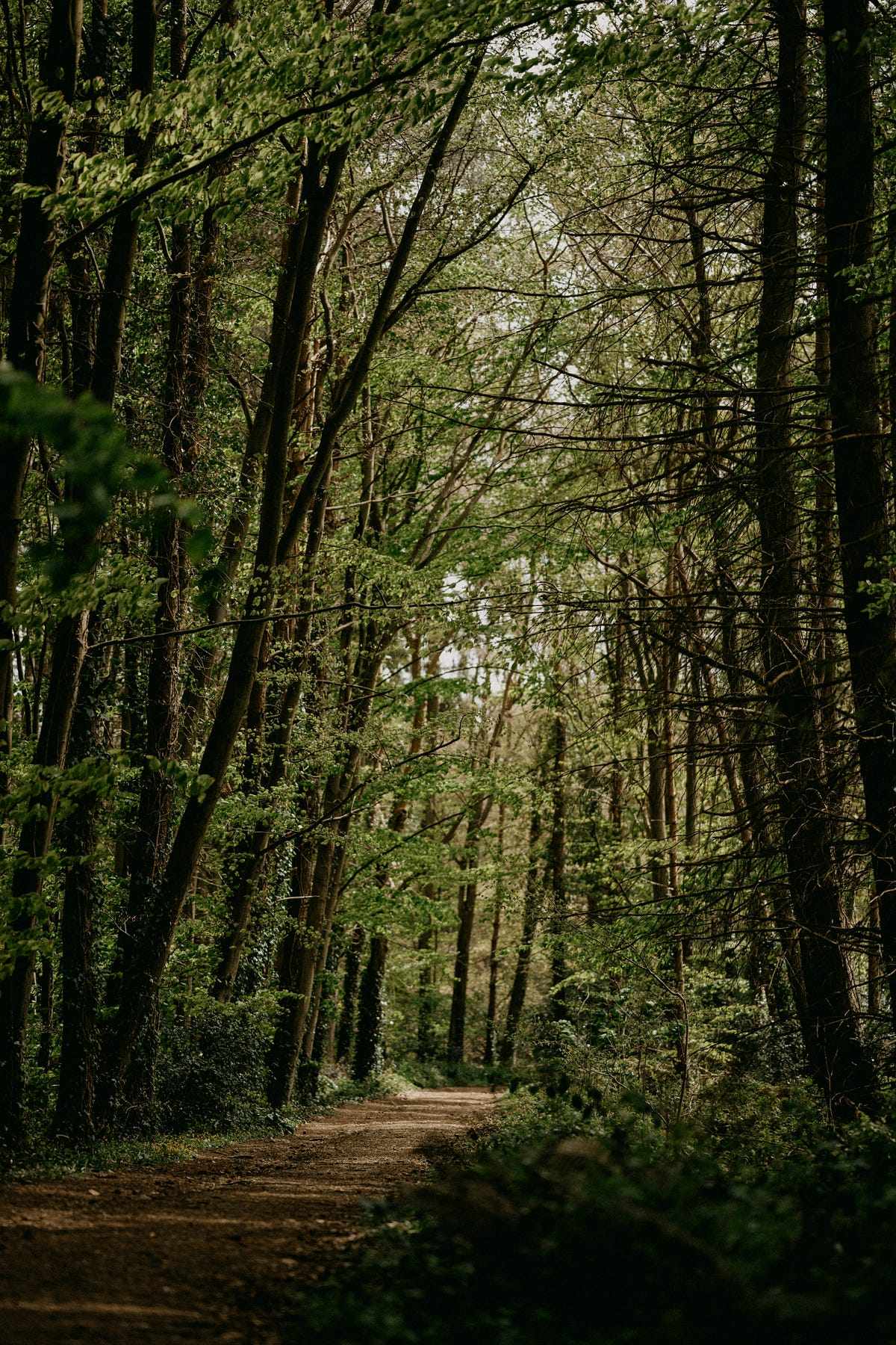 The Encounter. A random word Horror drabble: blast | by Jonny Masters | Fiction Shorts | Medium