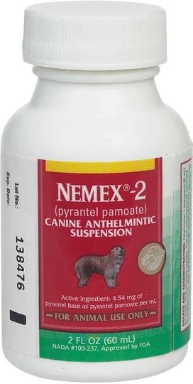 Nemex 2s | by Paul Alvarado | Jun, 2024 | Medium