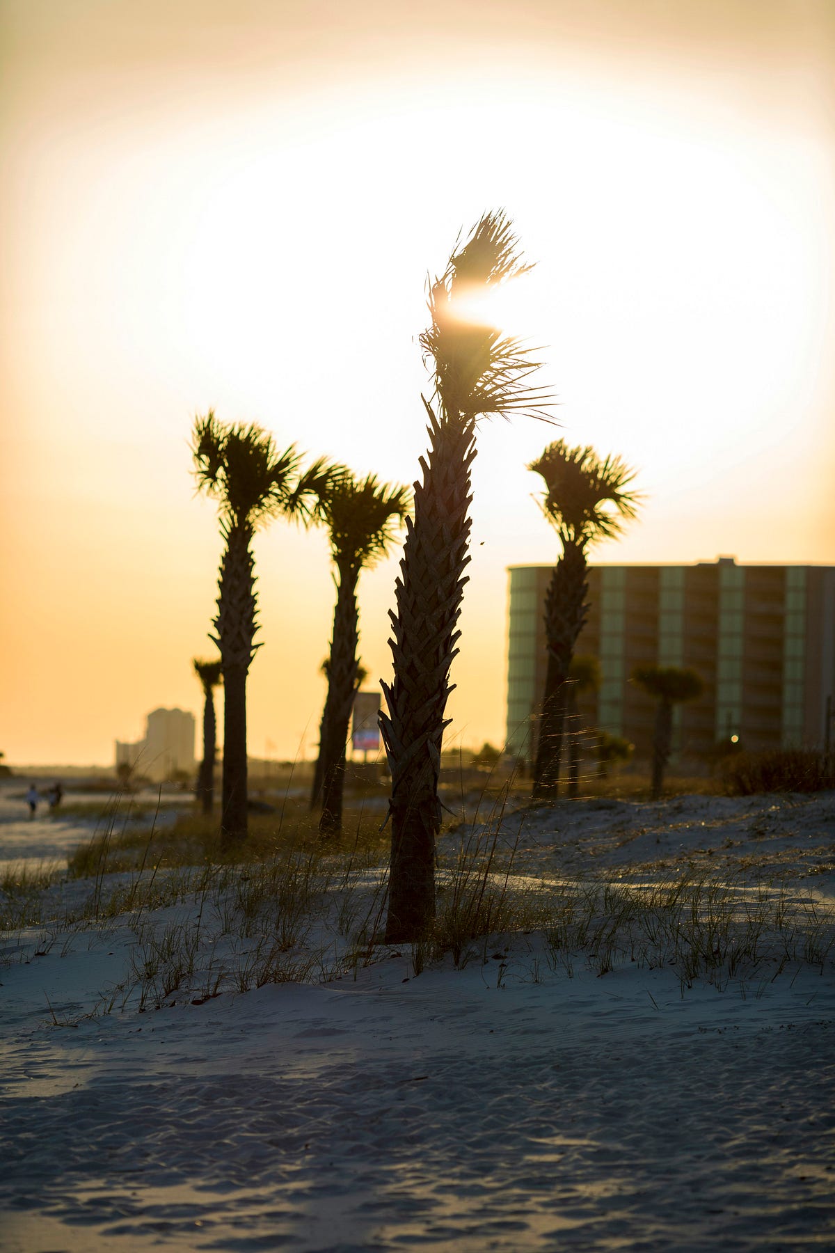 Rolling the Dice and Exploring Wonders | by Lord Luke El-Bey | Medium